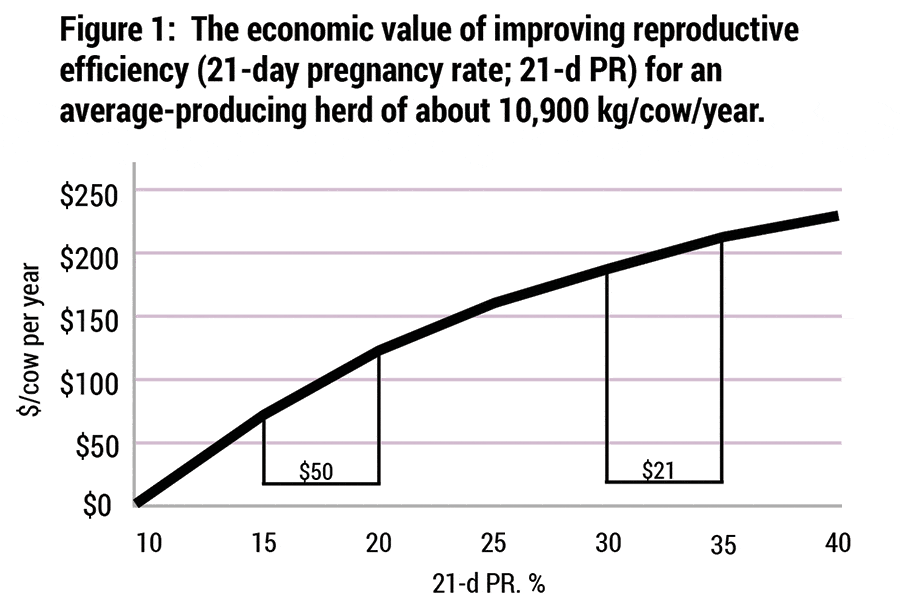 Prioritize, Execute, Repeat - CentralStar Cooperative, Inc.