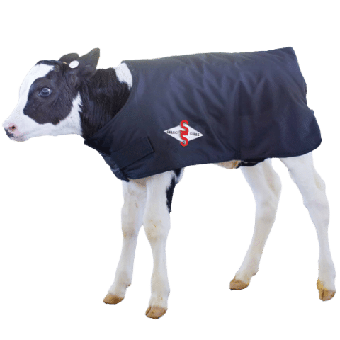 Calf Coat - CentralStar Cooperative, Inc.