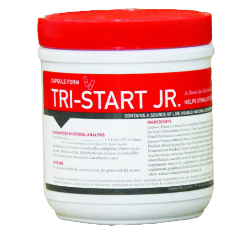 Tri-Start Jr. Bolus Direct-Fed Microbial for Dairy and Beef Calves ...
