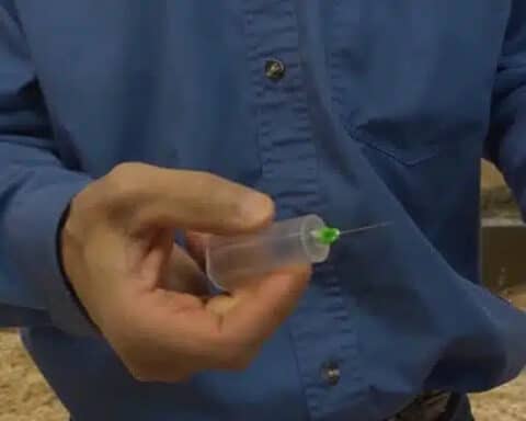 How To Collect a Blood Sample for Cattle Testing - CentralStar ...