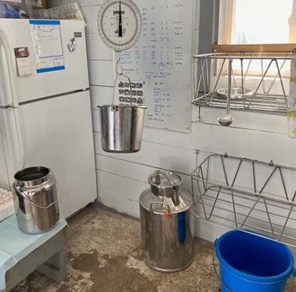 DHI Goat Services