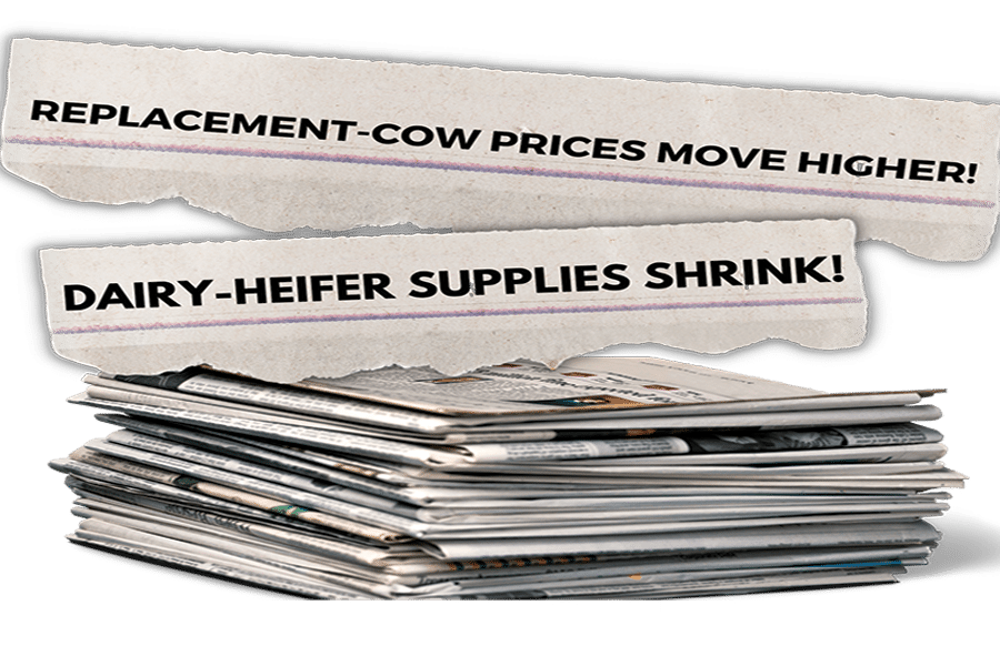 Is It Time To Change Course On Your Heifer Inventory CentralStar is-it-time-to-change-course-on-your-heifer-inventory-centralstar