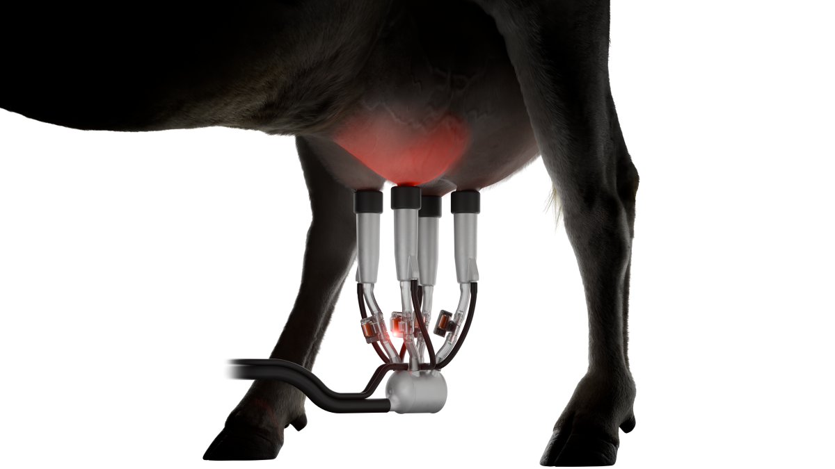 CowManager Unveils Milk Sensor Innovation - CentralStar Cooperative, Inc.